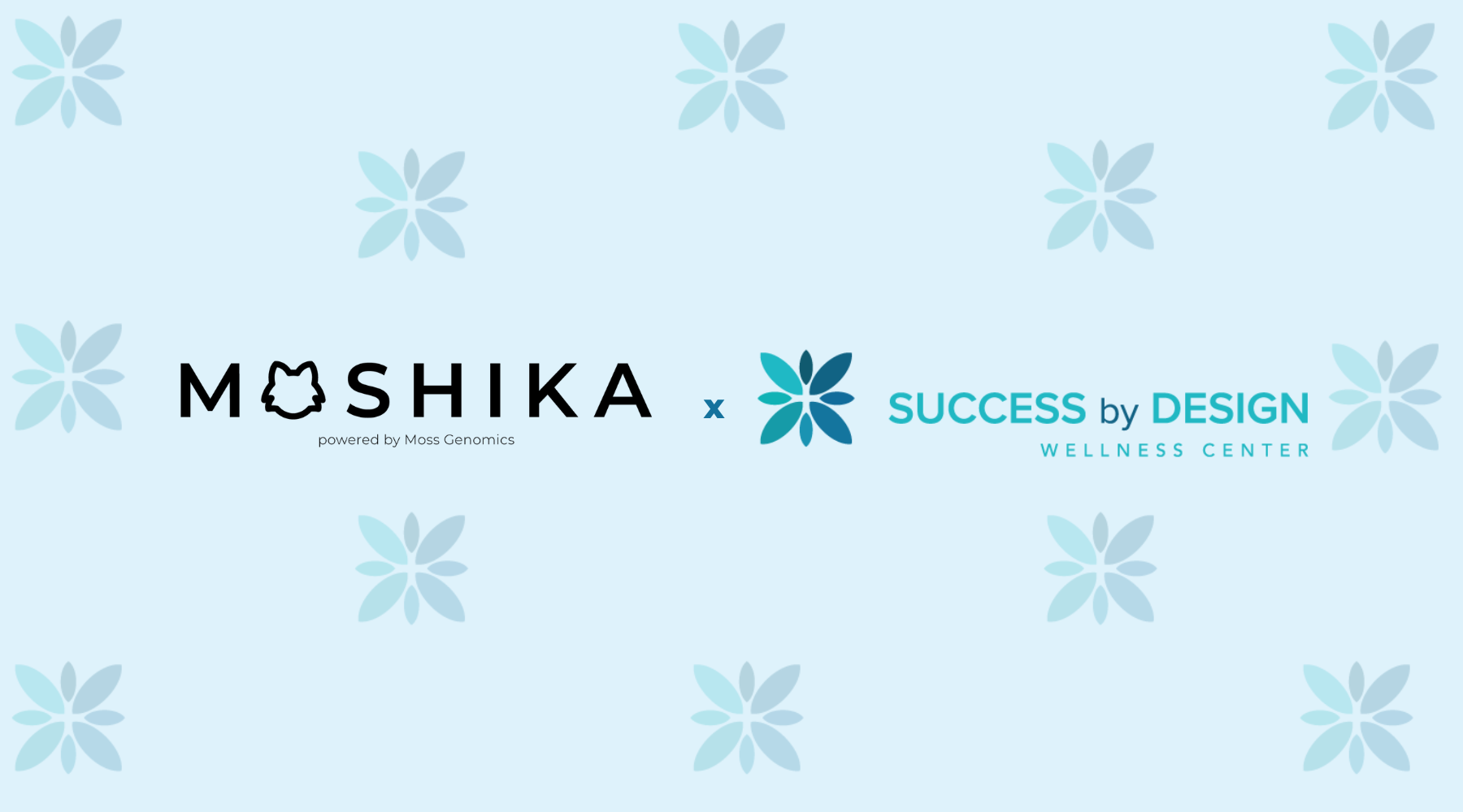 Retailer Spotlight! Success By Design Wellness Center – Moshika Beauty
